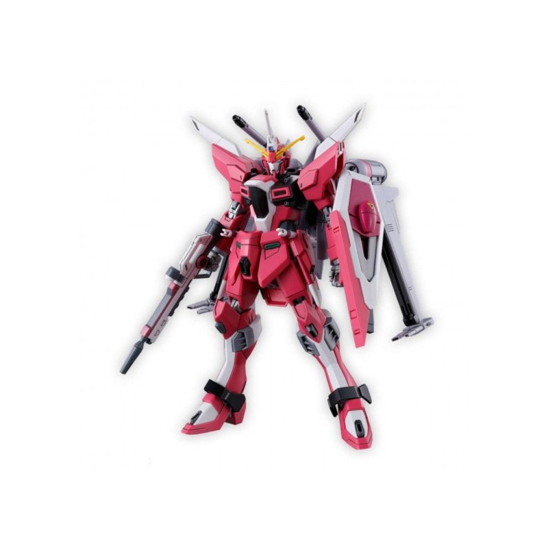 Gundam - HG Infinite Justice Gundam Type II